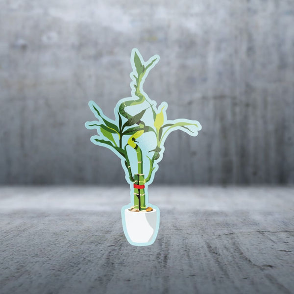Sticker Pack | 10705 - Plants - Lucky Bamboo
