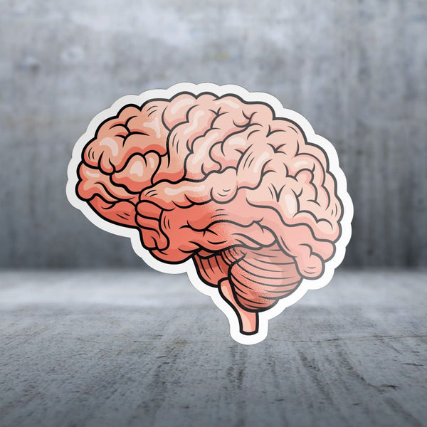 Sticker Pack | 10711 - Illustrated Anatomy - Brain