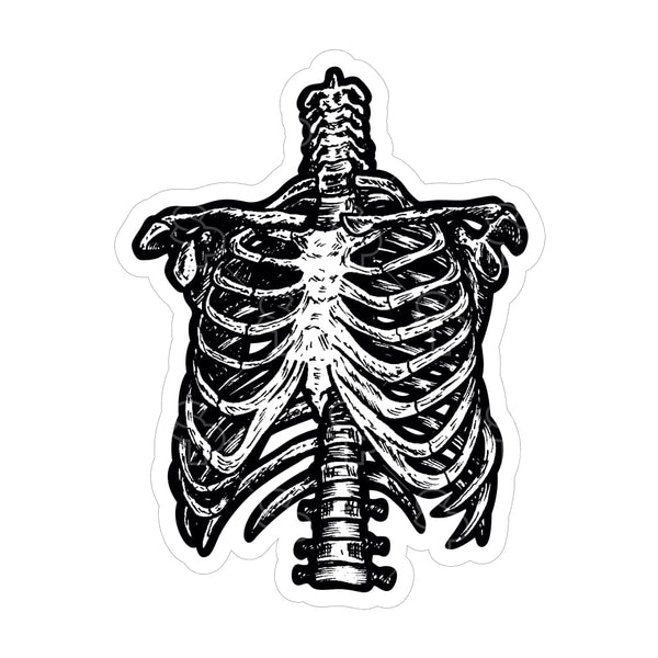 Sticker Pack | 10720 - Anatomy Sketch - Chest