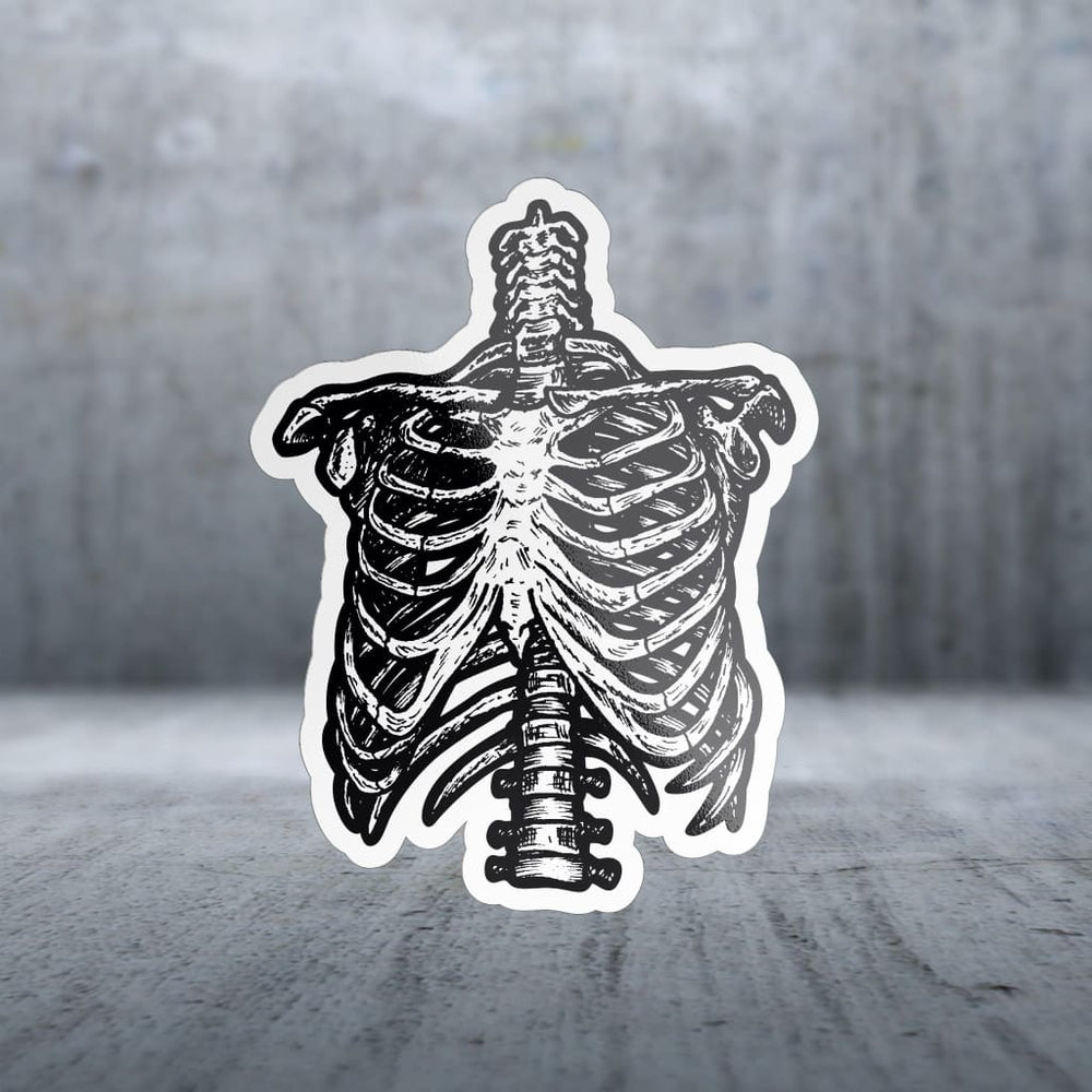 Sticker Pack | 10720 - Anatomy Sketch - Chest