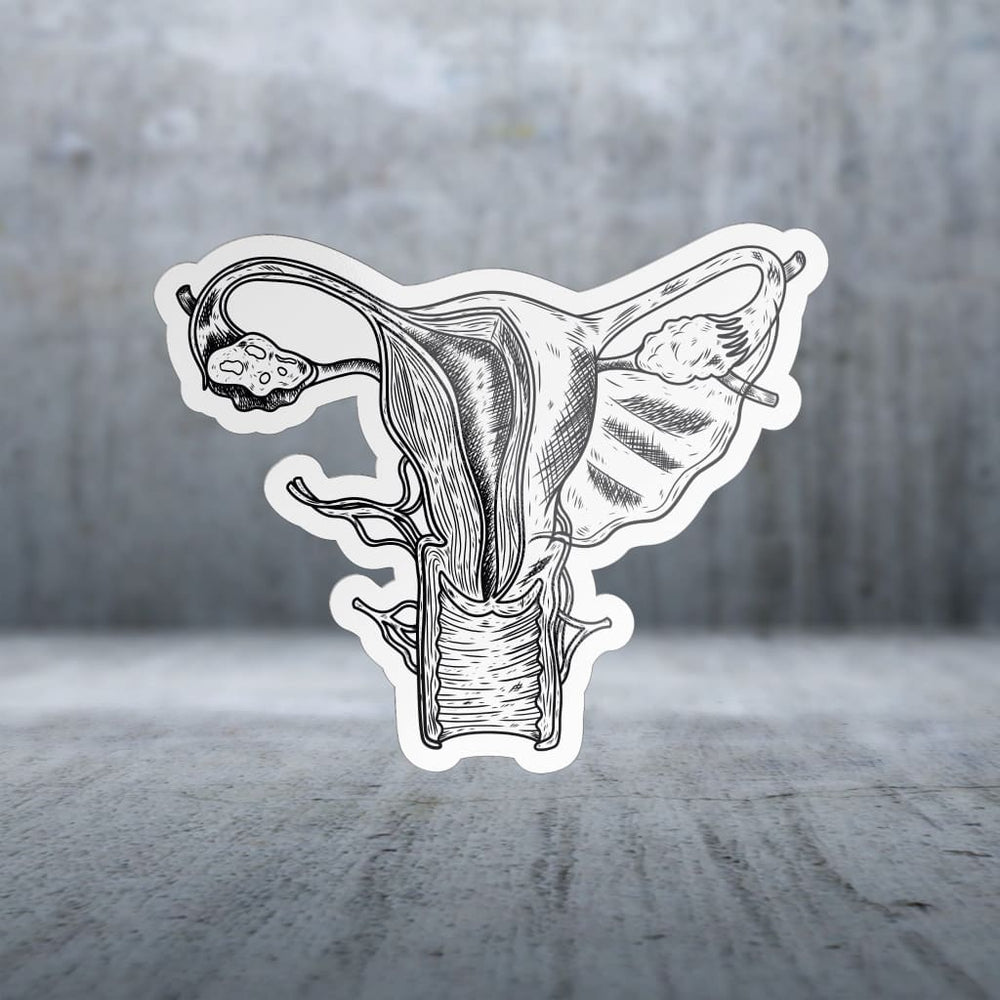 Sticker Pack | 13960 - Anatomy Sketch - Uterus
