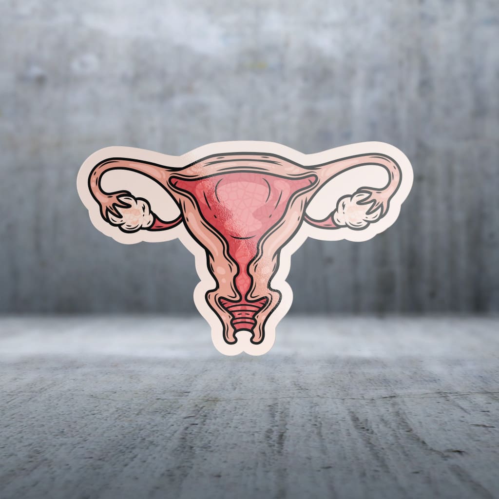 Sticker Pack | 13961 - Illustrated Anatomy - Uterus