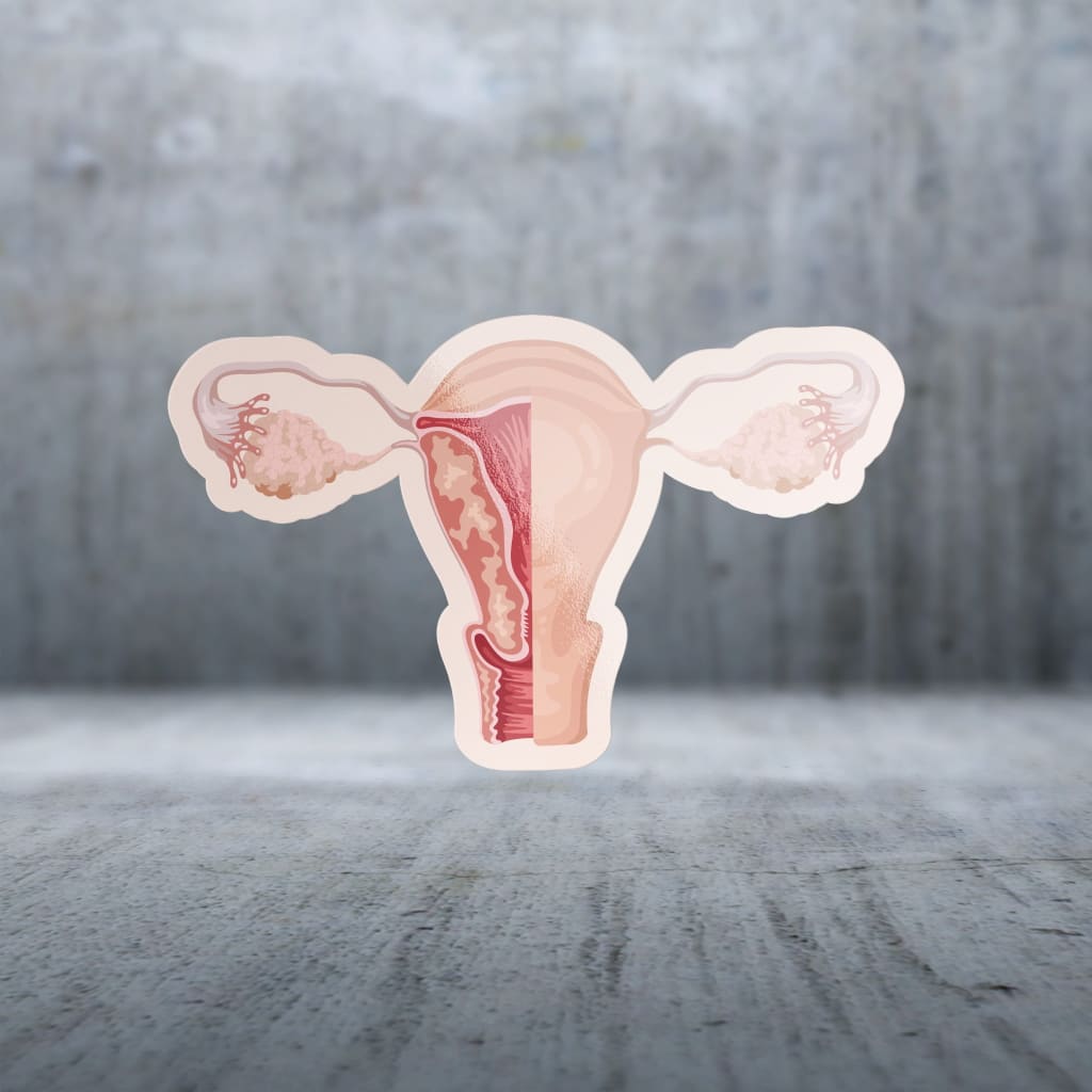 Sticker Pack | 13962 - Realistic Anatomy - Uterus