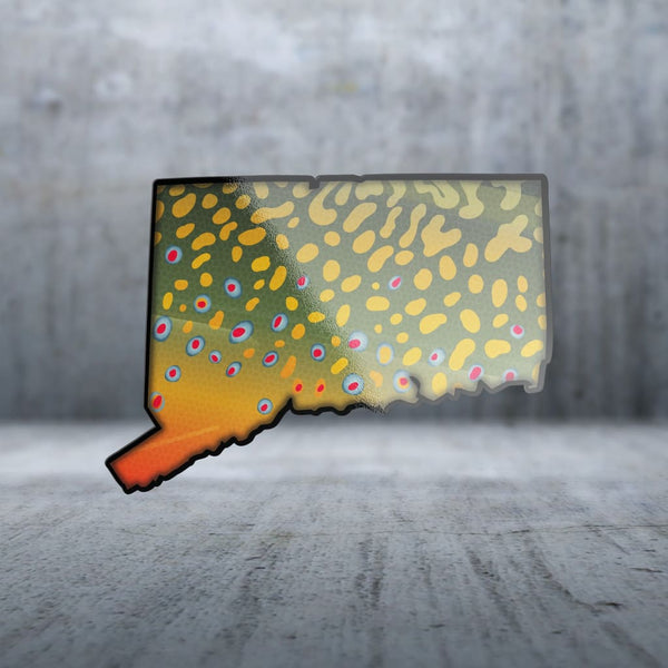 Sticker Pack | 15956 - Fish Skin - Brook Trout - Connecticut