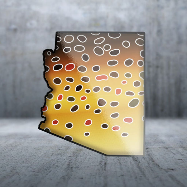 Sticker Pack | 16052 - Fish Skin - Brown Trout - Arizona