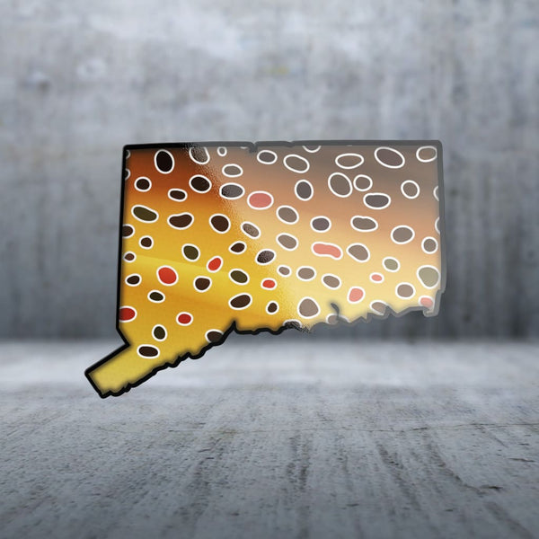 Sticker Pack | 16056 - Fish Skin - Brown Trout - Connecticut