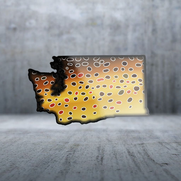 Sticker Pack | 16096 - Fish Skin - Brown Trout - Washington