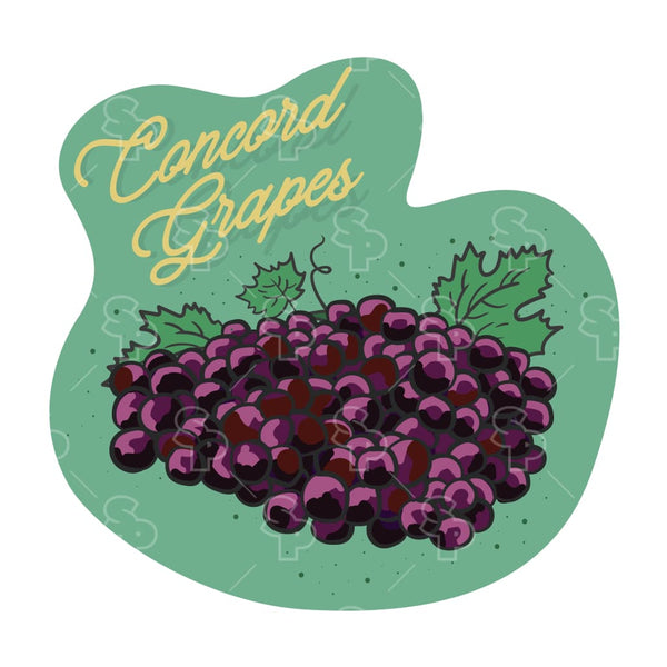 Sticker Pack | 16764 - Concord - Grapes