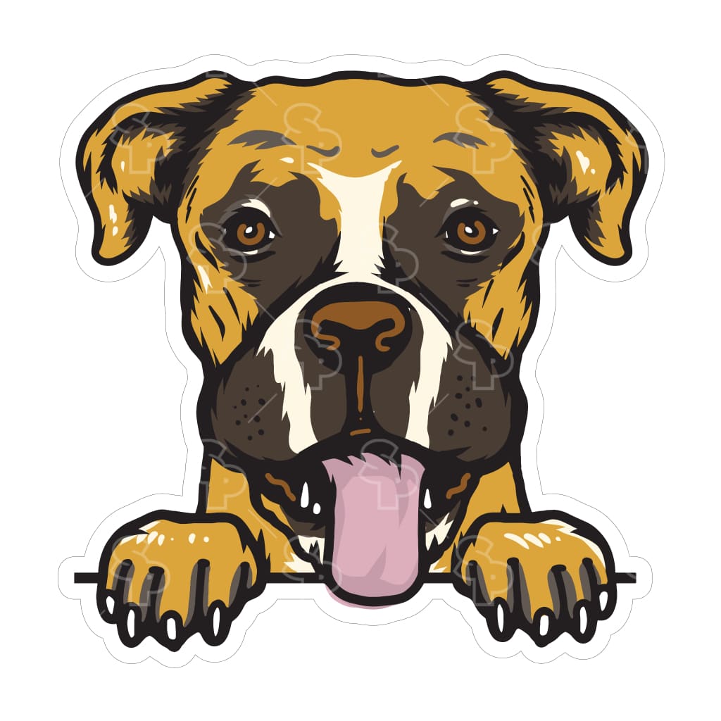 Sticker Pack | 9721 - Dogs Begging Illustrated - Boxer